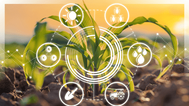 Certified Crop Advisor Exam Prep Course