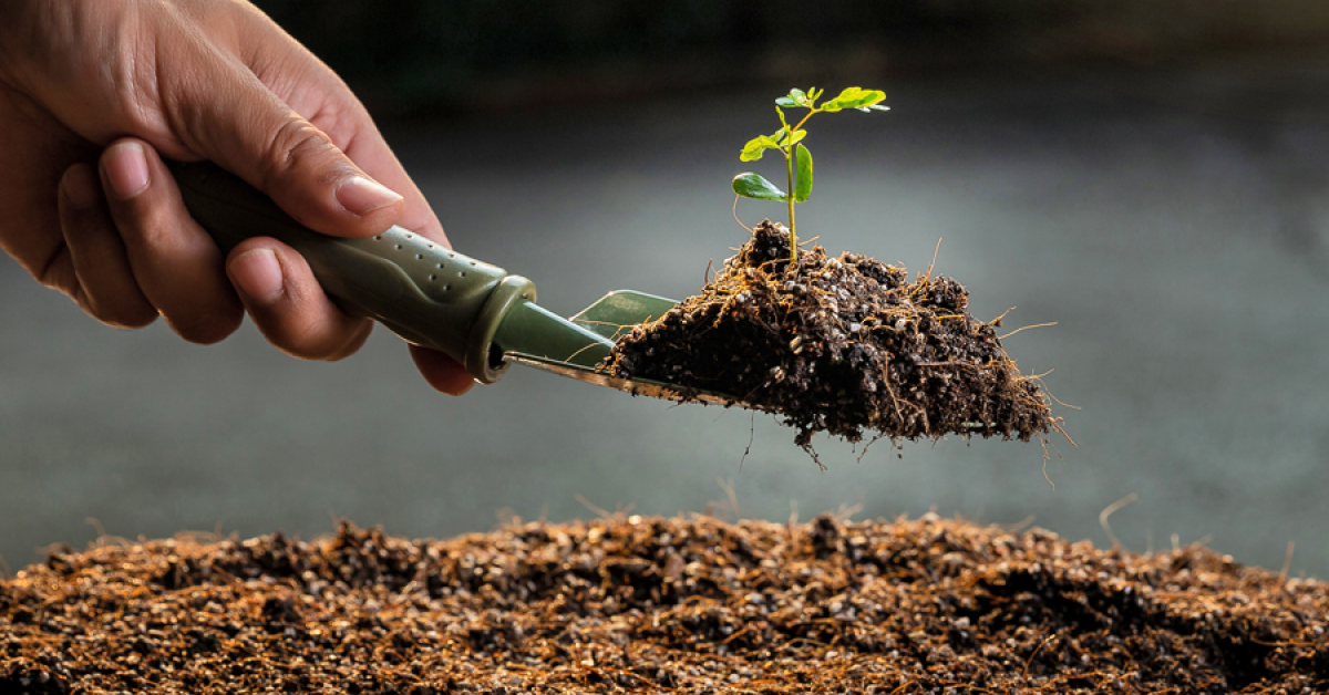 LLCC and Extension to host horticulture workshop for elementary ...