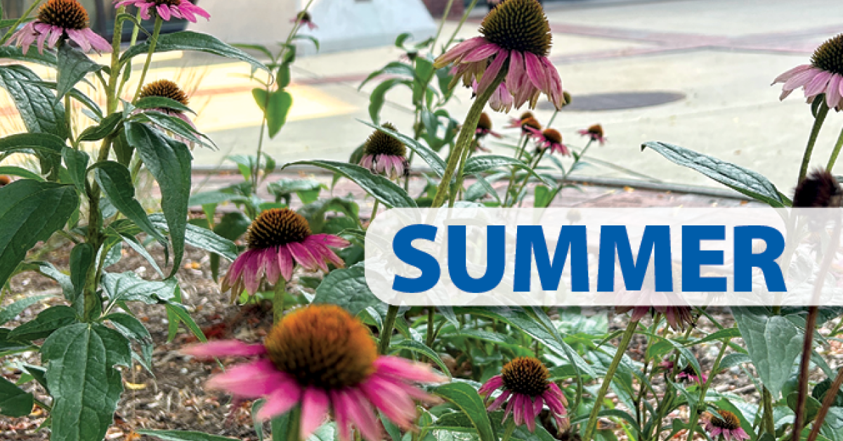 LLCC announces summer hours of operation | Lincoln Land Community College