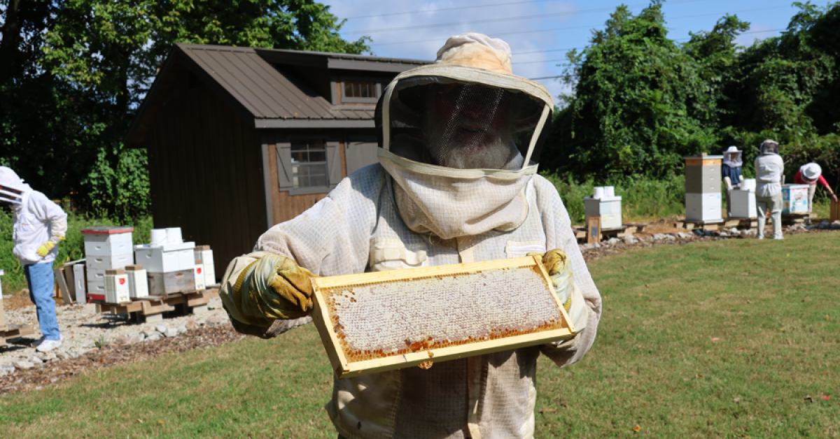 LLCC to host honey harvest demonstration Sept. 24 | Lincoln Land ...